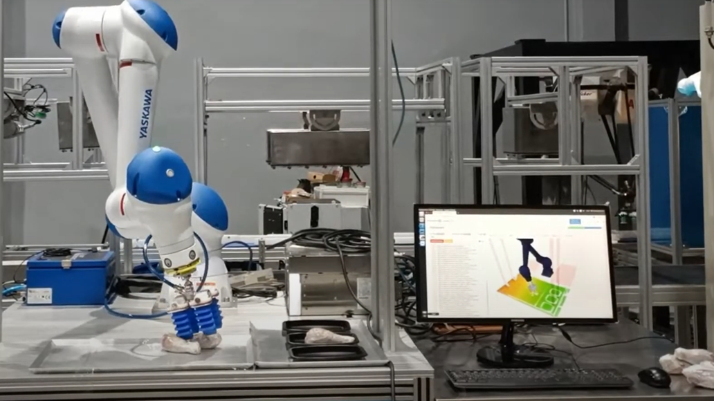 Picking of soft objects | PhotoNeo